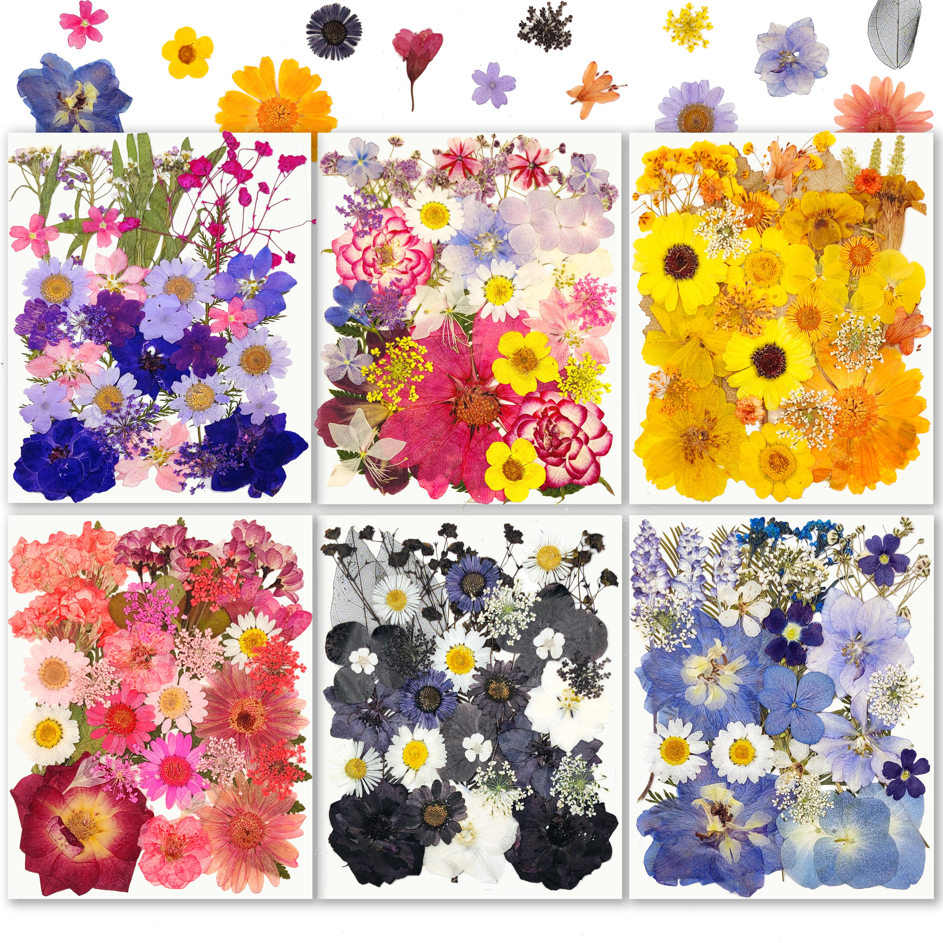 31/34pcs Dried Pressed Flowers Set - Decorative Accessories for Jewelry ...