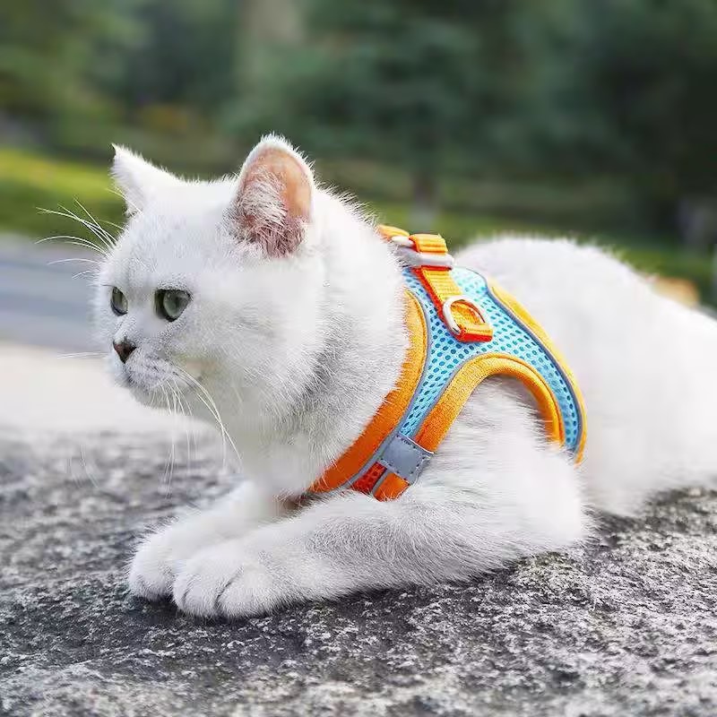 Cat Traction Rope Chest Strap Anti-breakaway Cute Velcro Safety Buckle ...