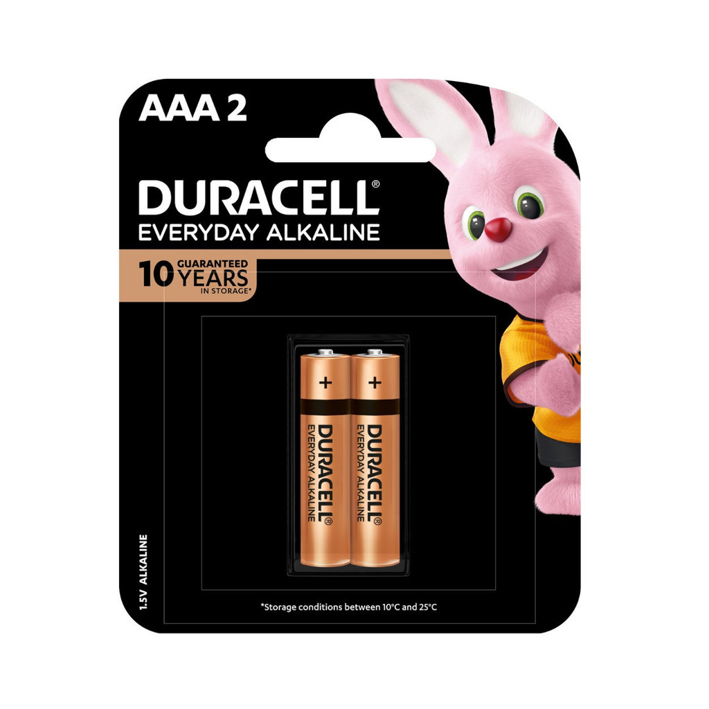Duracell Everyday Alkaline AAA2 | Shopee Philippines