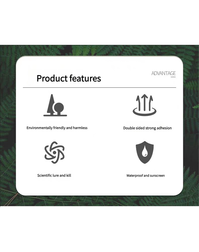 Fungus Gnat Control: Odorless, Non-Toxic Sticky Traps for Safeguarding ...