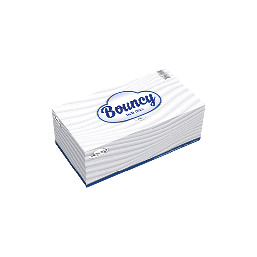 Bouncy Facial Tissue Box 2 Ply 190 Pulls x 1 Box | Shopee Philippines