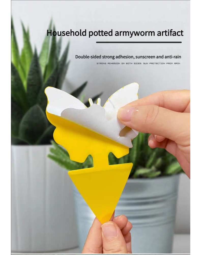 Fungus Gnat Control: Odorless, Non-Toxic Sticky Traps for Safeguarding ...