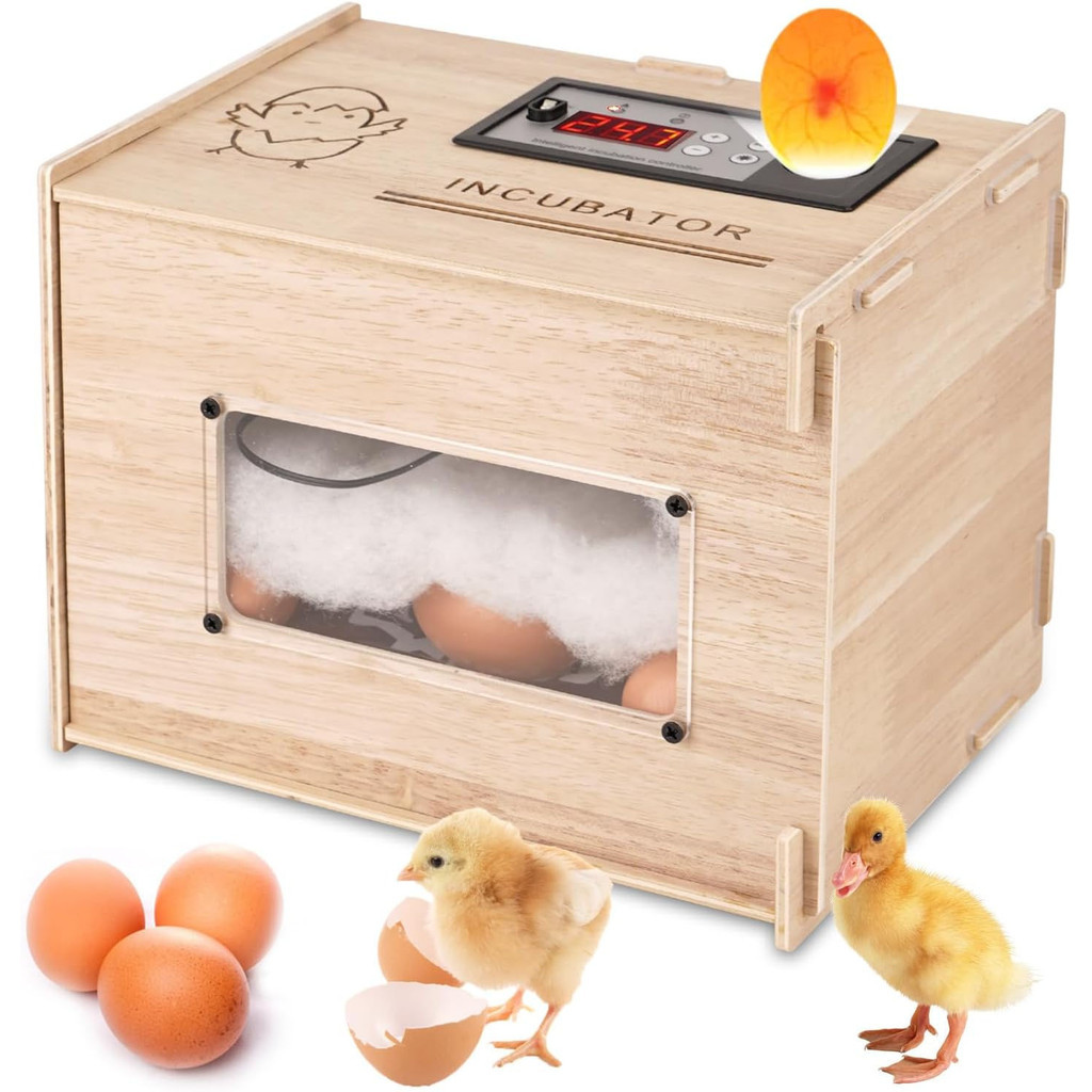 Digital DIY 9 Egg Incubator for Hatching Eggs with LED Candler ...