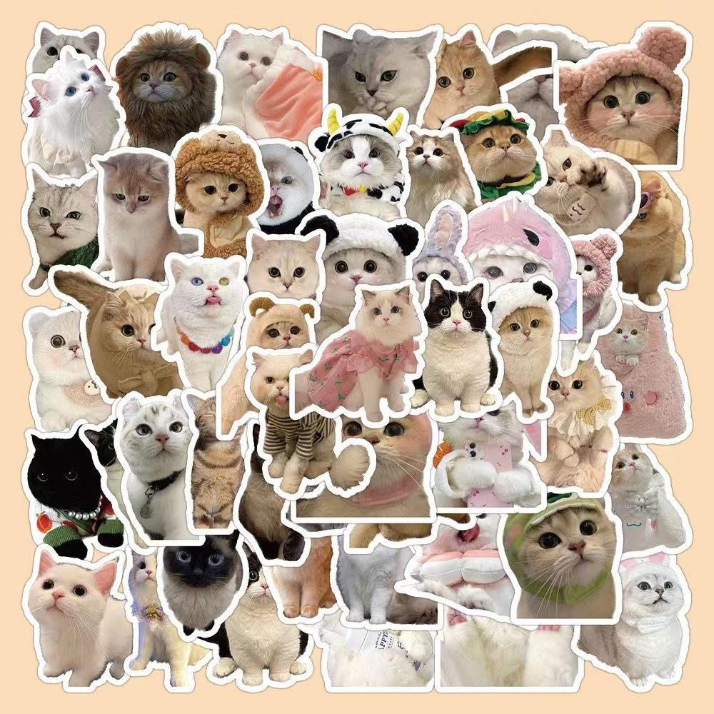 60 Sheets Cute Realistic Cat Stickers ins Style High-value Super Cute ...