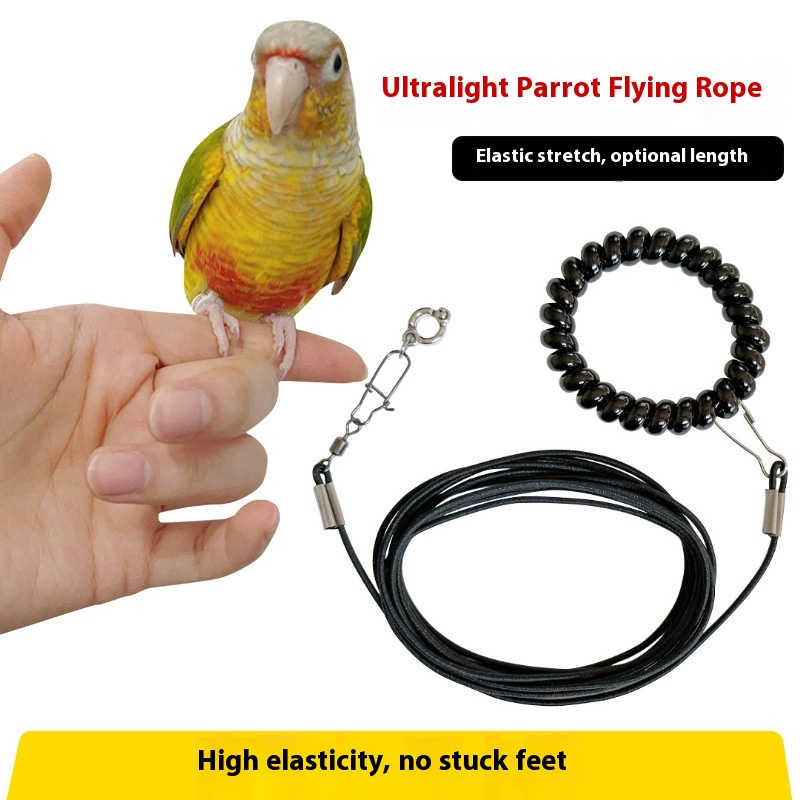 Pet Bird Outdoor Training Harness Rope, Parrot Foot Leash Anti-Fly Lead ...