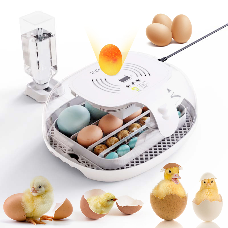 16 Eggs Incubator with Automatic Turning LED Temperature Screen Egg ...