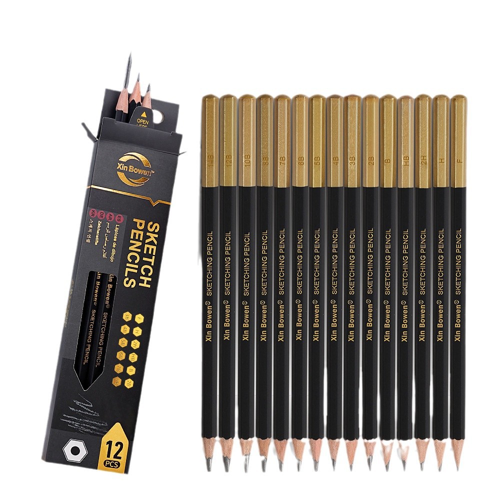 Professional Charcoal Pencils Set - 12Pcs Sketch Black Pencils for ...