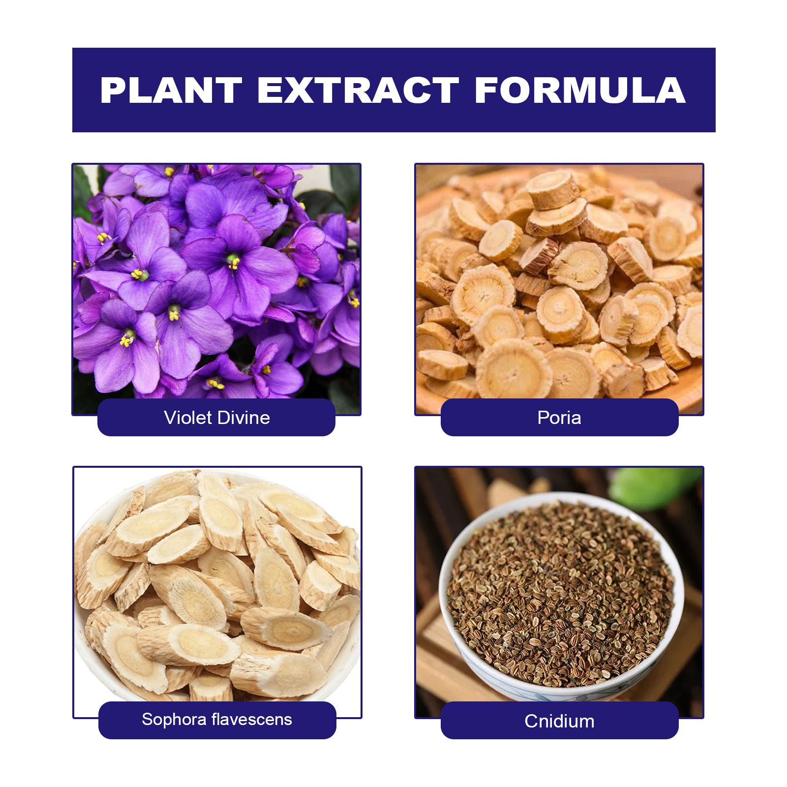 Atoderma Cream for Itching Skin, Eczema Treatment, Bioderm Ointment ...