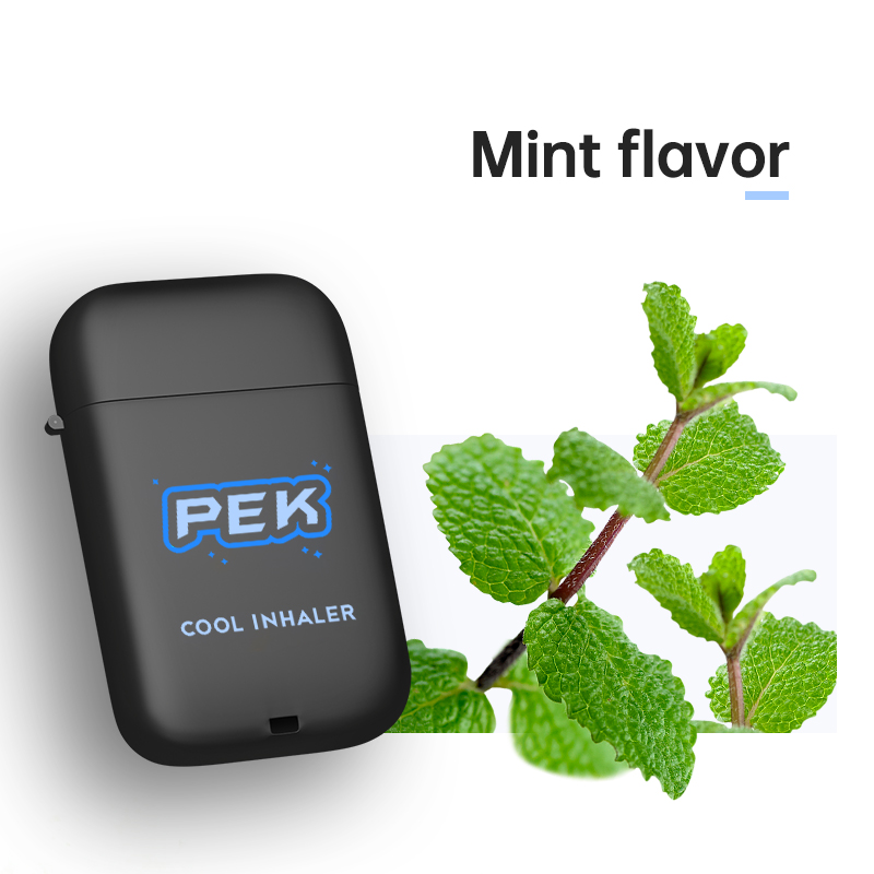 PEK Clamshell Double Hole Vital Oil Energy Bar Cool Nostril Nasal ...