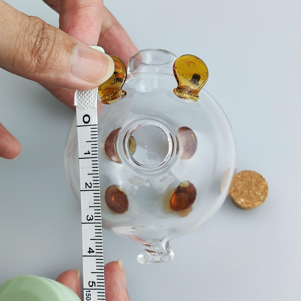 Clear Glass Golden Bean Bank for Kids - Cute Transparent Piggy Toy ...