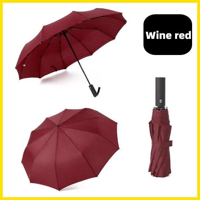 24-Ribs Automatic Umbrella UV Protection Windproof Storm-Resistant ...