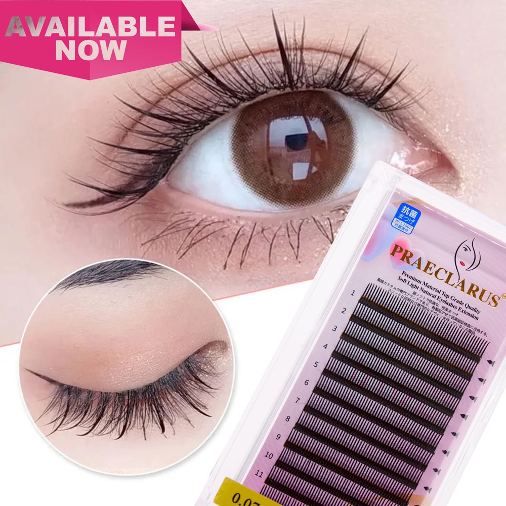 Praeclarus Wet Look Eyelashes 5D Flora Eyelash Premium Materials ...