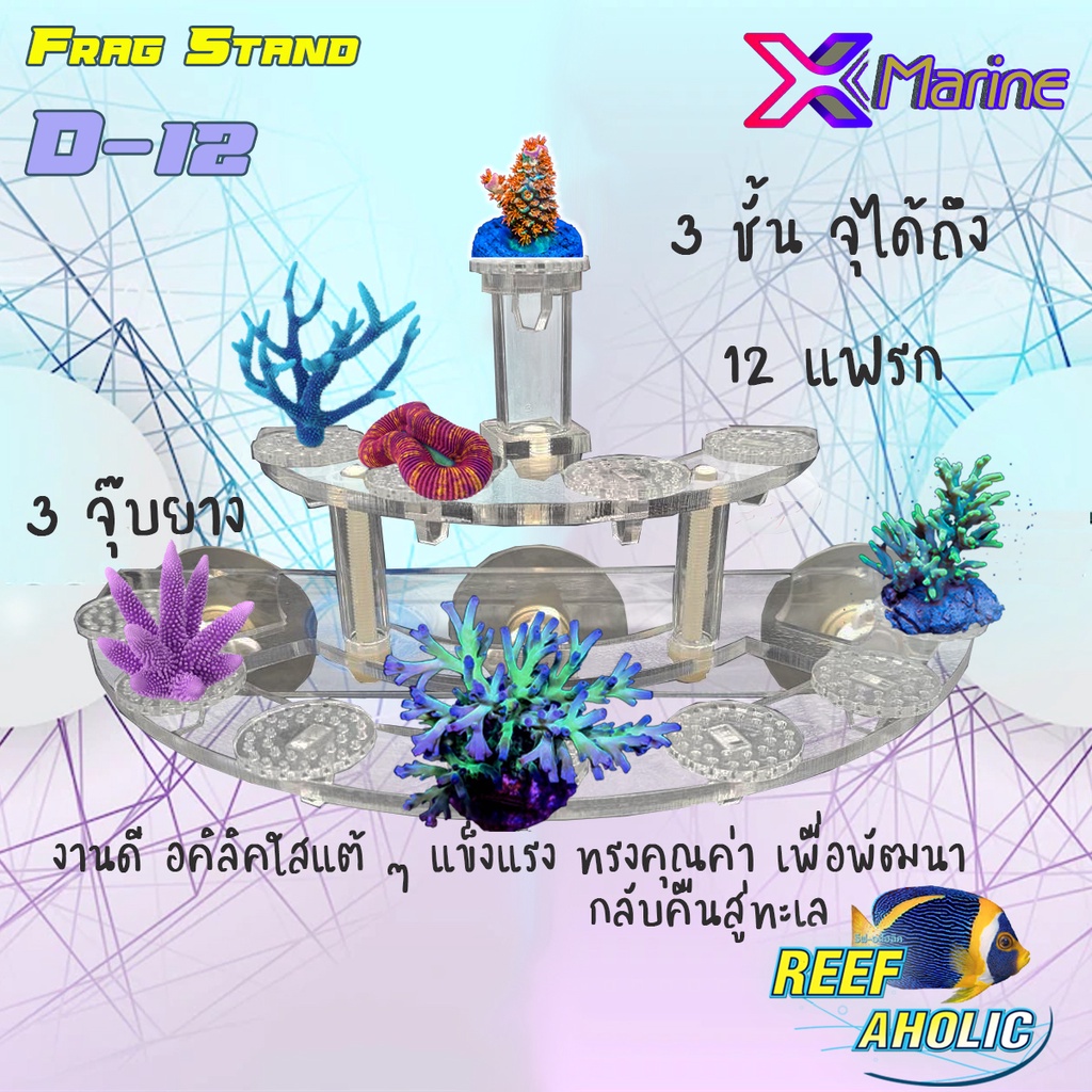 X-Marine Frag Stand D-12 An Acrylic Fragmented Set With A Fragmentary ...