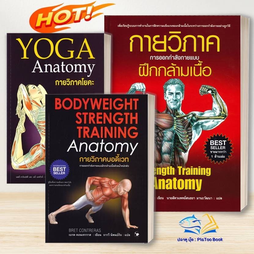 Book Anatomy Exercise Muscle Training BODYWEIGHT YOGA Health | Shopee ...