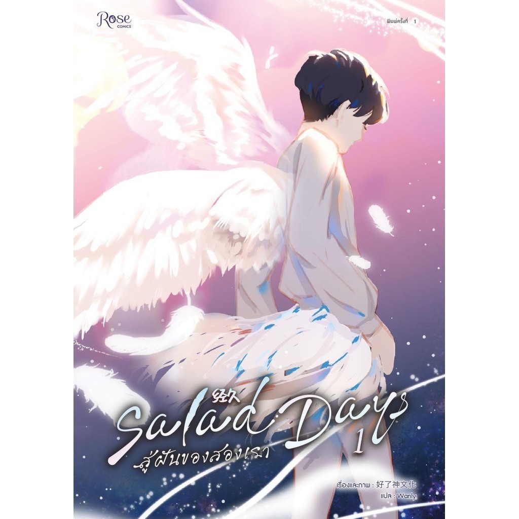 Salad Days Book Into Our Dream 1 (Mg) | Shopee Philippines