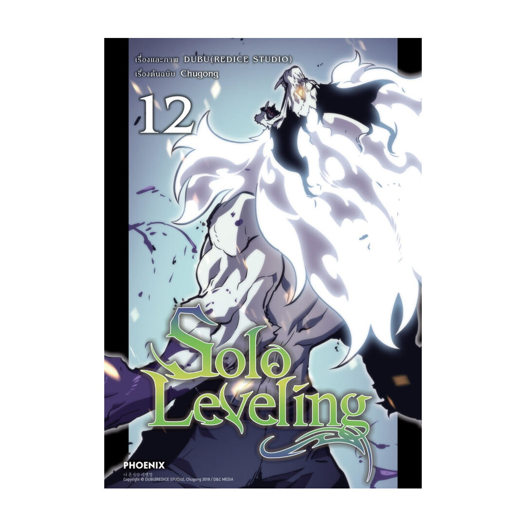 Solo Leveling Book Volume 12 (Mg) | Shopee Philippines