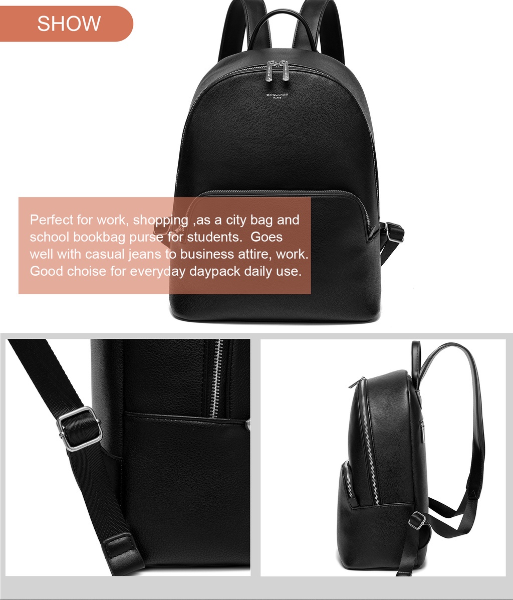 David Jones Paris Backpack For men School Bag For School 2023 Fashion ...