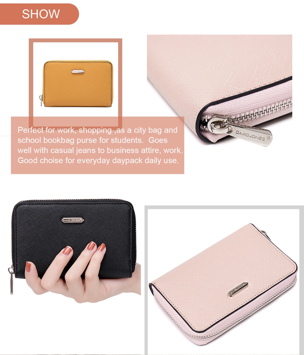 David Jones Paris Minimalist Wallet For Woman 2023 Fashion Collection ...