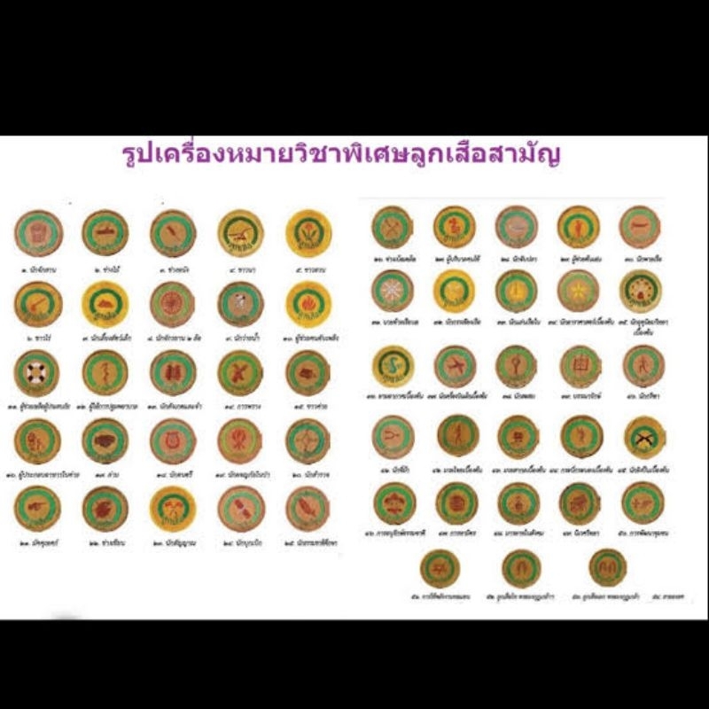 Arm Special Subject Scout Common Badge Mark | Shopee Philippines