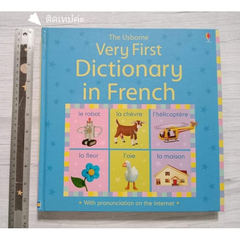 English French Dictionary (Usborne Illustrated Dictionary) (First ...