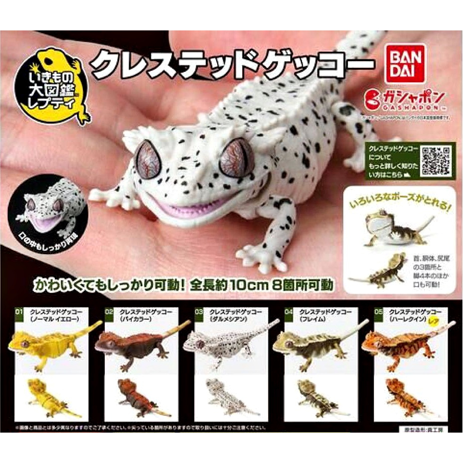 Baby Gachapon Bandai Ikimono Encyclopedia Crested Gecko Mini Animal ...