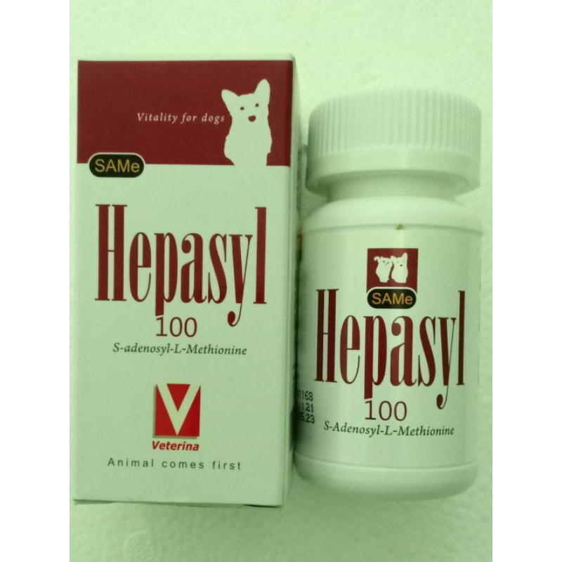 Hepasyl100 Liver Nourishing Vitamin Same100 30tab | Shopee Philippines