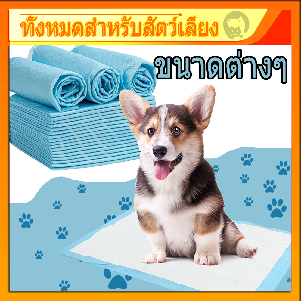 Pee Pads For Dogs And Cats Rabbits Hedgehogs Boxes And Chichigo Absorb ...