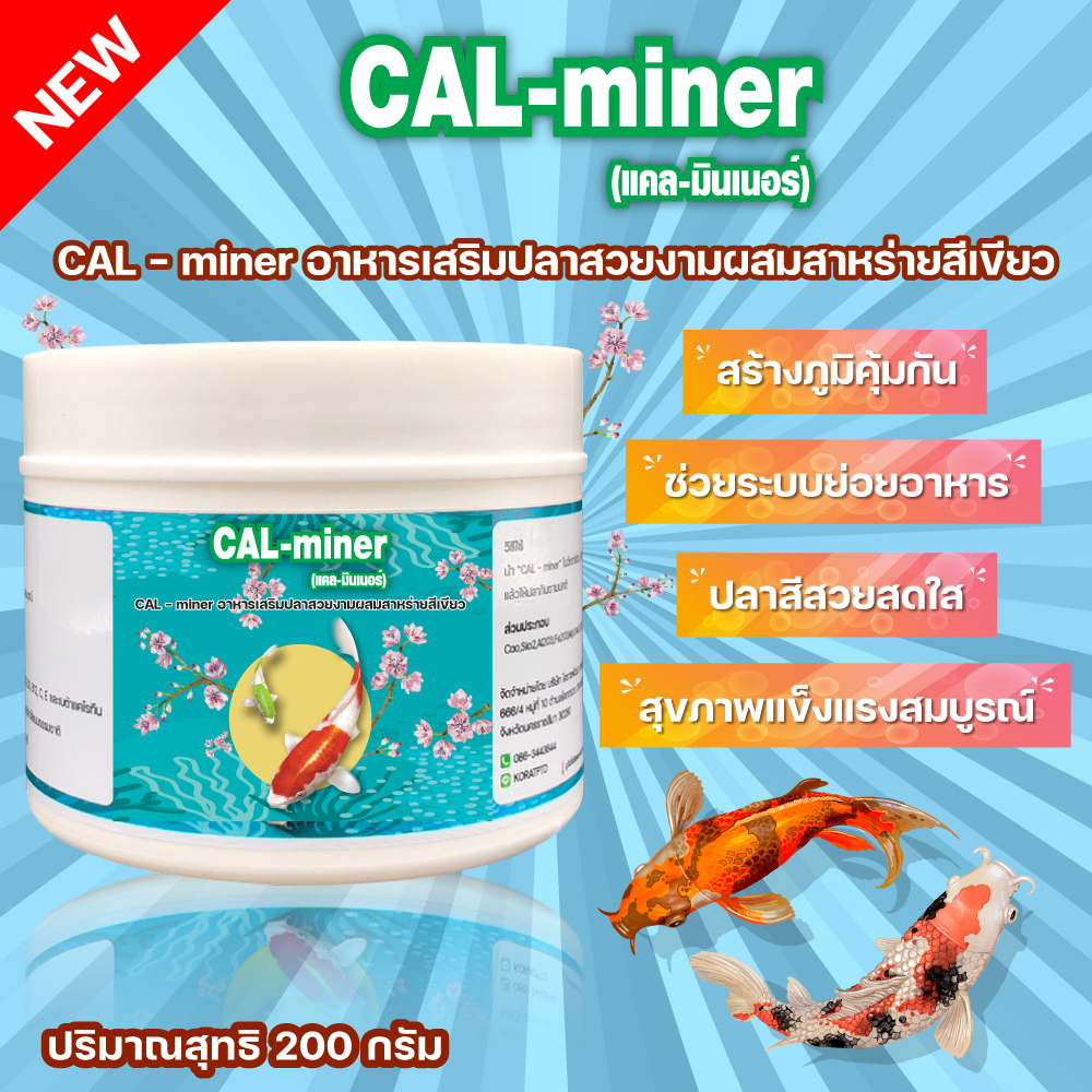Ornamental Fish Supplement 200 G Accelerate Color. Contains Algae ...