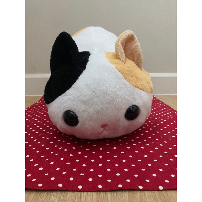 3 Color Cat Large Manon Clear Amuse Label | Shopee Philippines