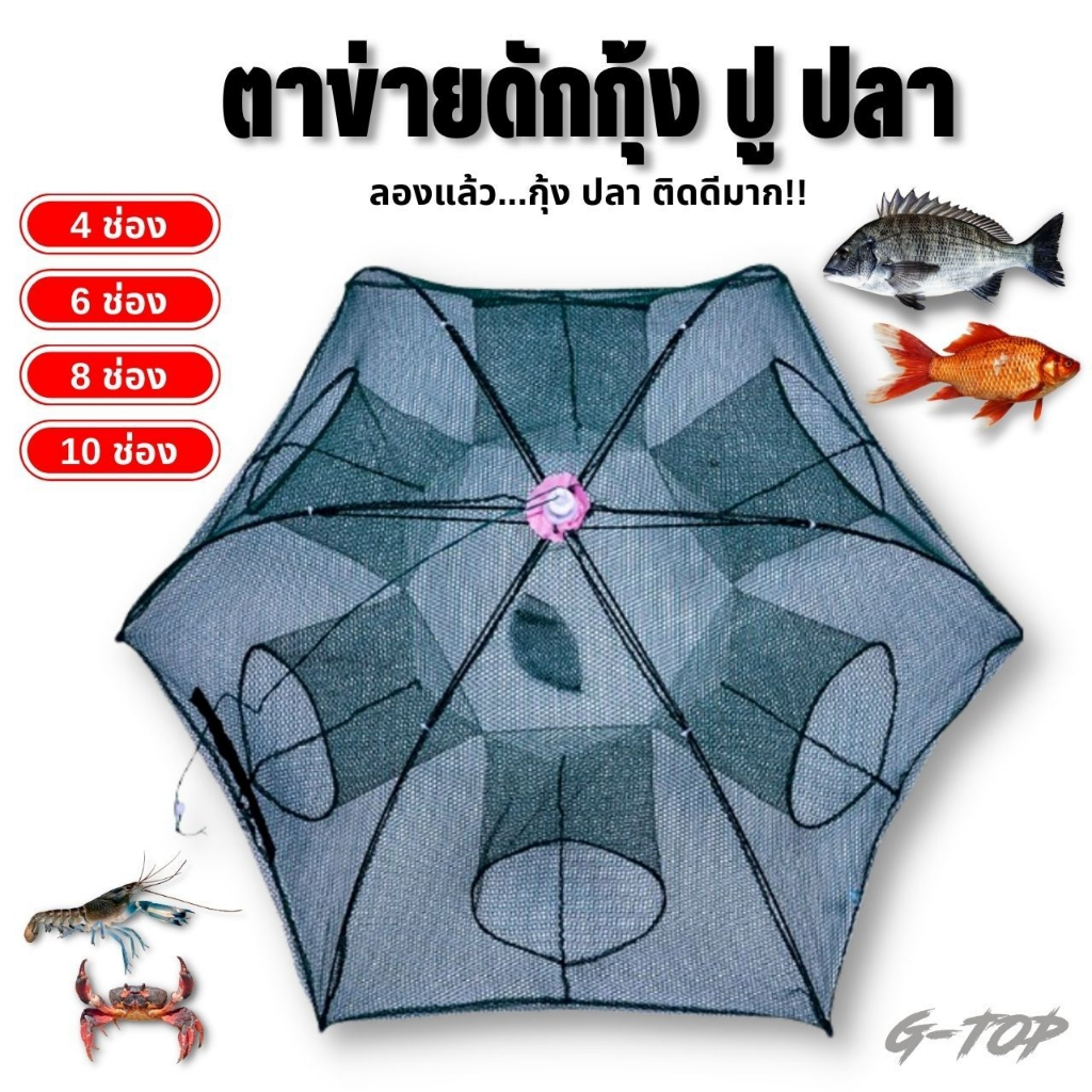 Fish Net 4 6 8 10 Holes Cage Trap Shrimp Foldable G2611 | Shopee ...