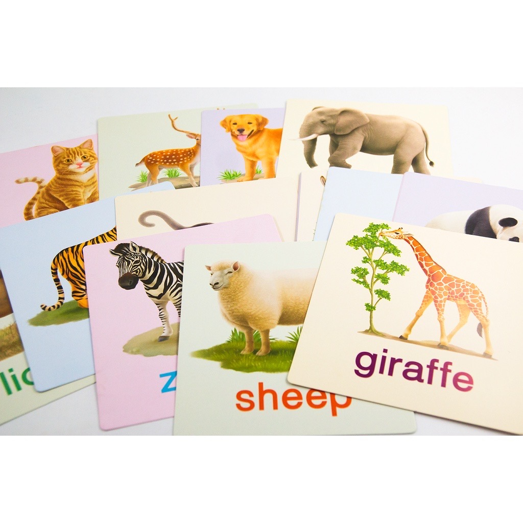 Big Flash Cards Card: animal Flashcards I Like Cute Animals Words ...