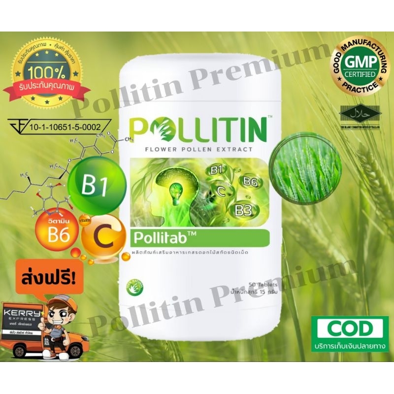 POLLITIN Green Formula Tab Pollitap | Shopee Philippines