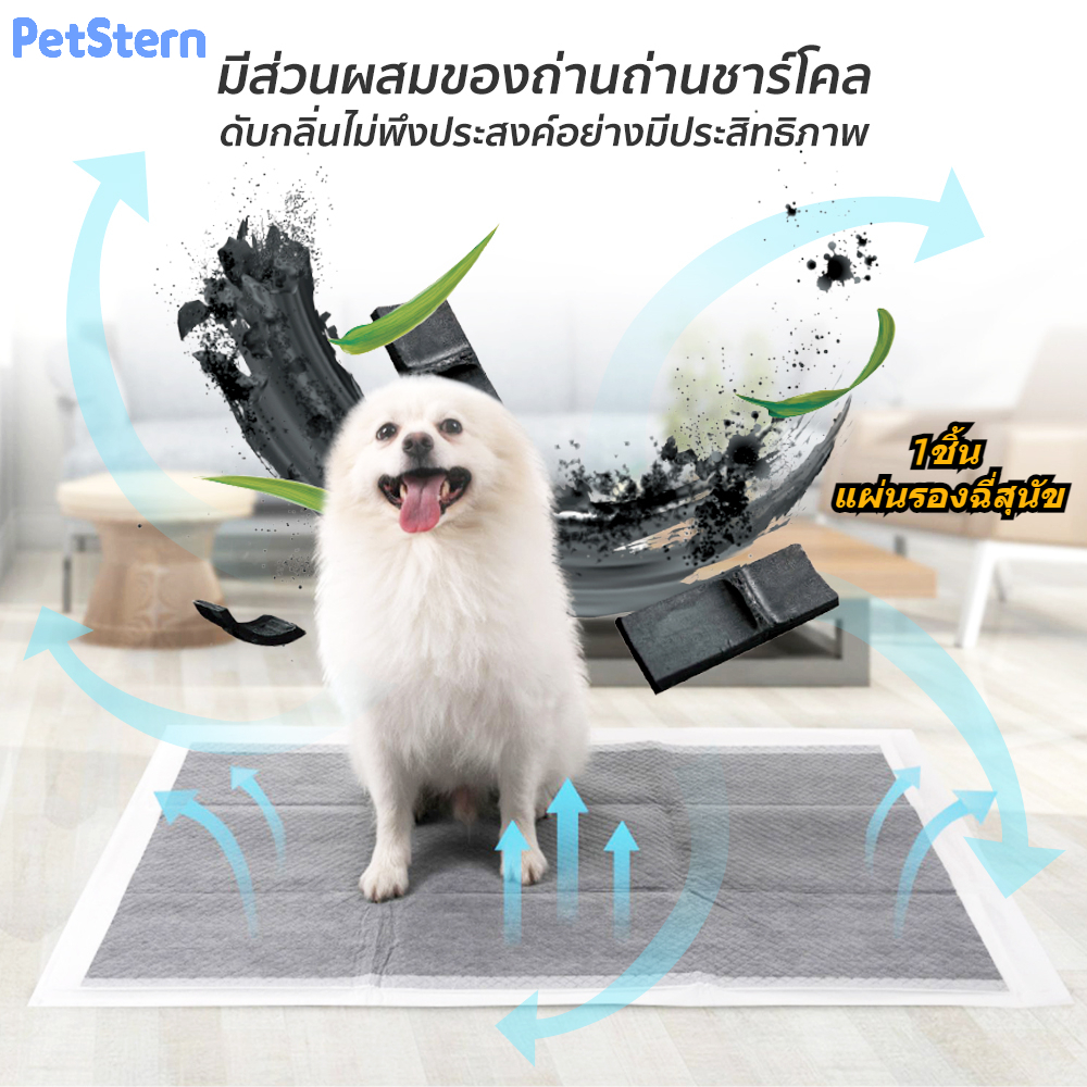 PetStern 1 Piece Dog Pee Pads Cat Help Training Excretion And Absorb ...