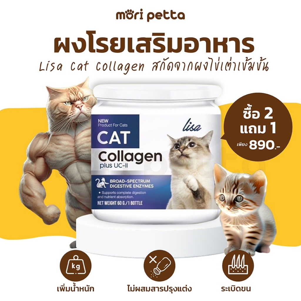 Lisa Cats Collagen Protein Powder Pet Supplement Turtle Egg ...