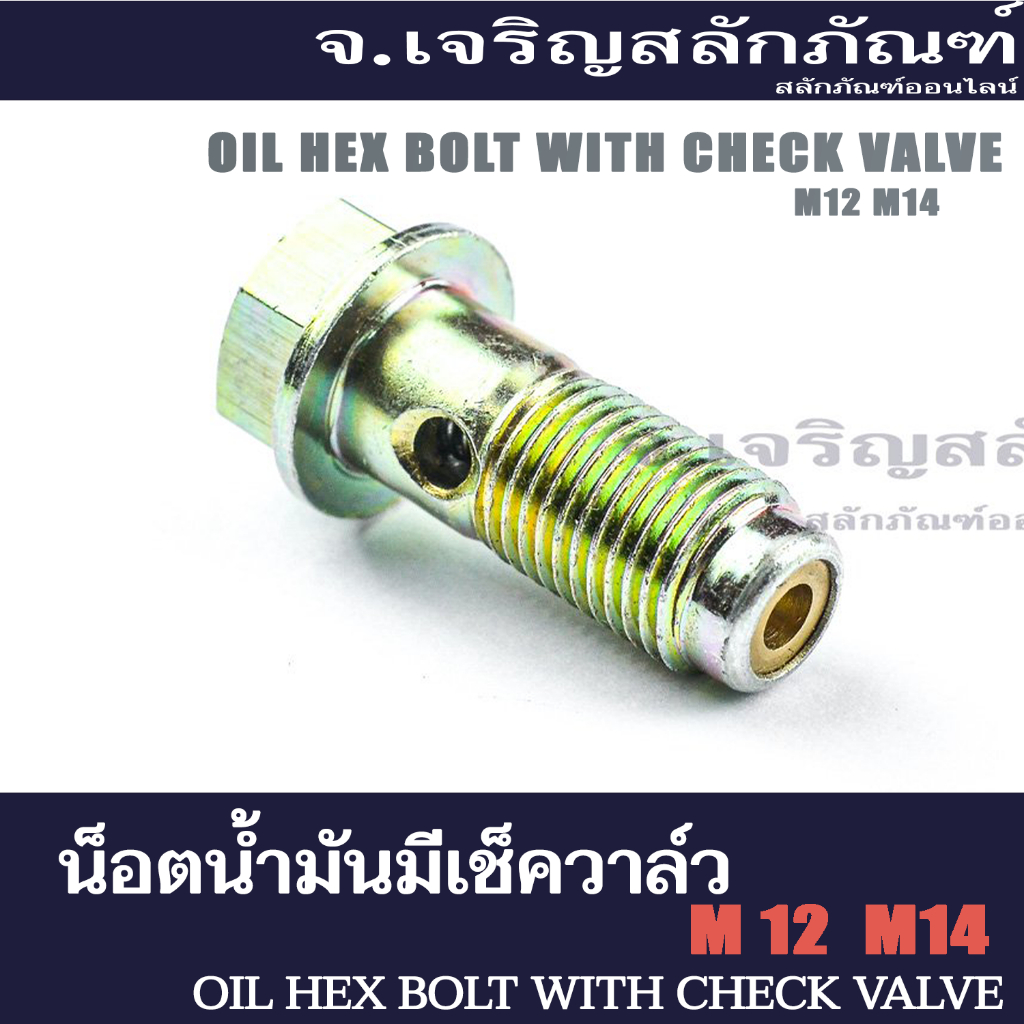 Oil Nut with Check Valve M12 M14 (Pack Of 1) Return No. 14 17 Screw Hex ...