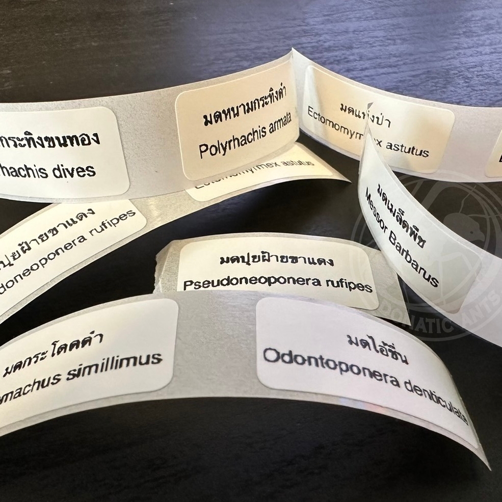 Ant Name Tag Lable List Sign "Please Send A Message"-Donatic Ants ...