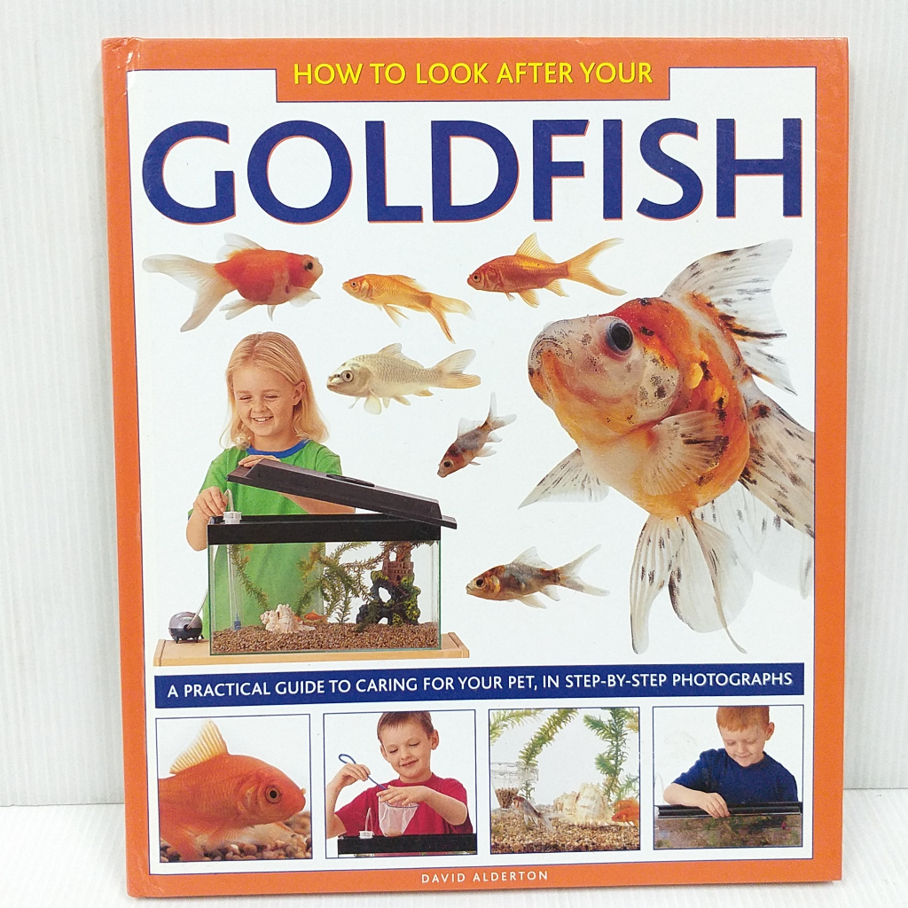 Goldfish English Second Hand Book Recommended To Raise Hardcover ...