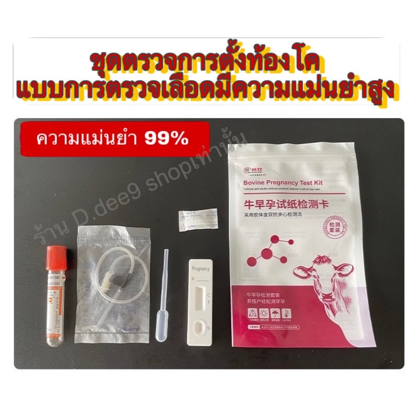 Cattle-Cow Pregnancy Test Kit High Precision Blood Form From Thailand ...