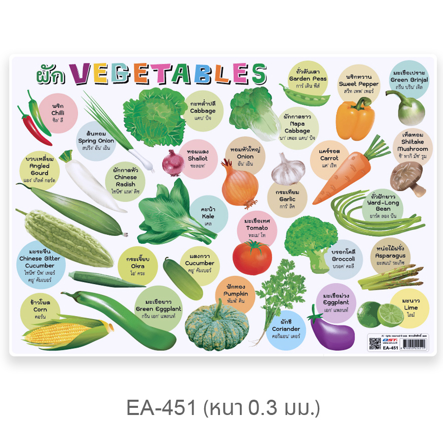 A4 Size Plastic Poster Vegetablevegetables EA-451 | Shopee Philippines