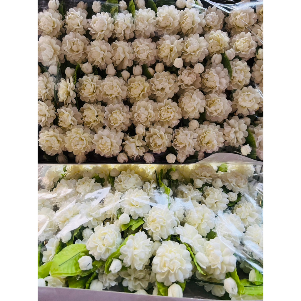 Mother's Day Jasmine Flower (Mother's Brooch 1 Box Contains 100 Flowers ...