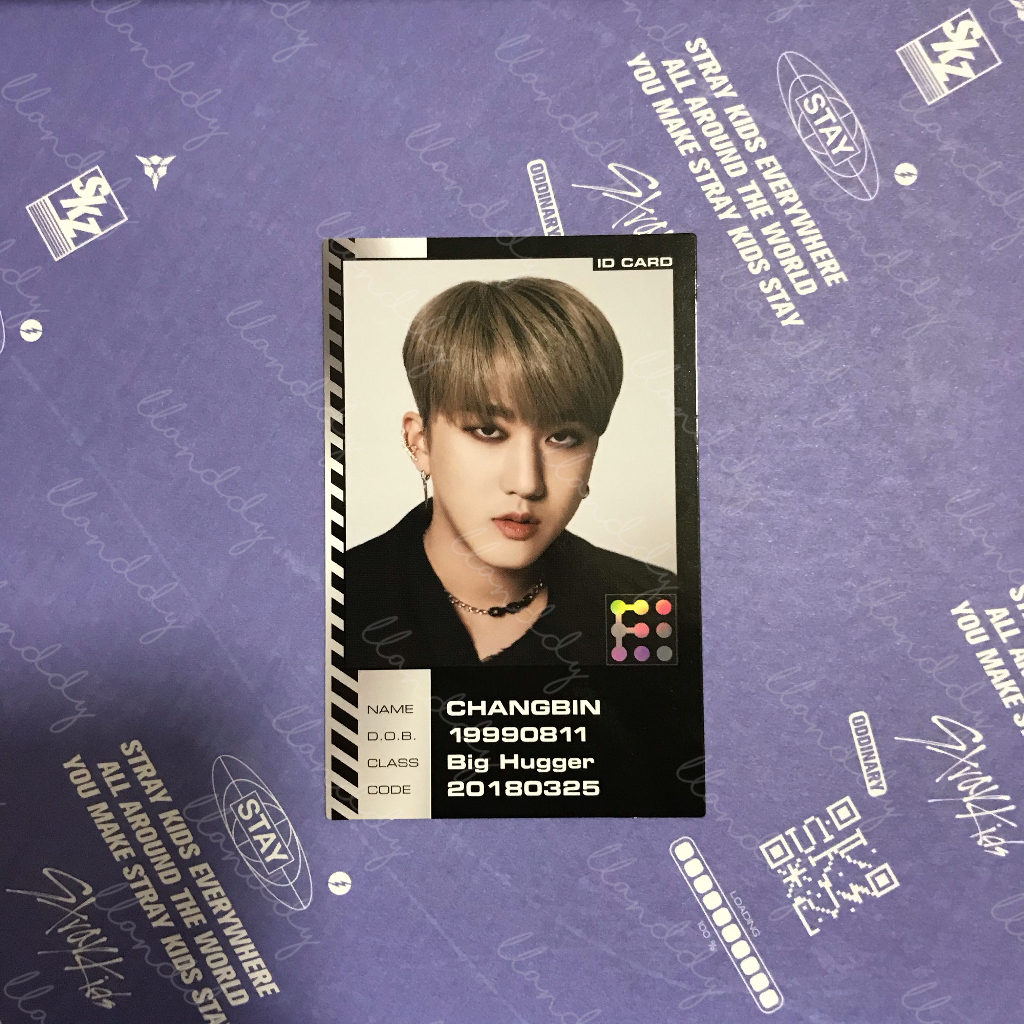 ID Card Changbin SKZ Didinary Stray Kids Photocard | Shopee Philippines