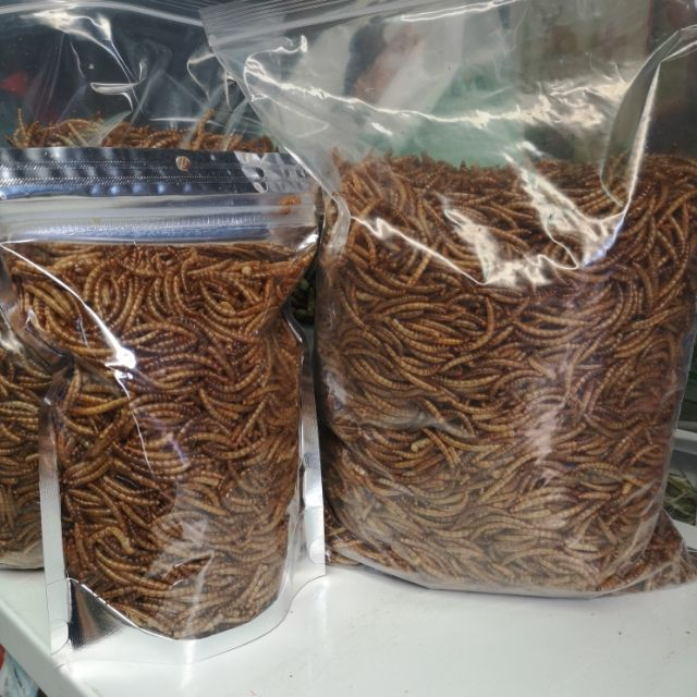 Dehydrated Bird Worms 100g For Hedgehog Sugar Rider Squeezing Dragon ...
