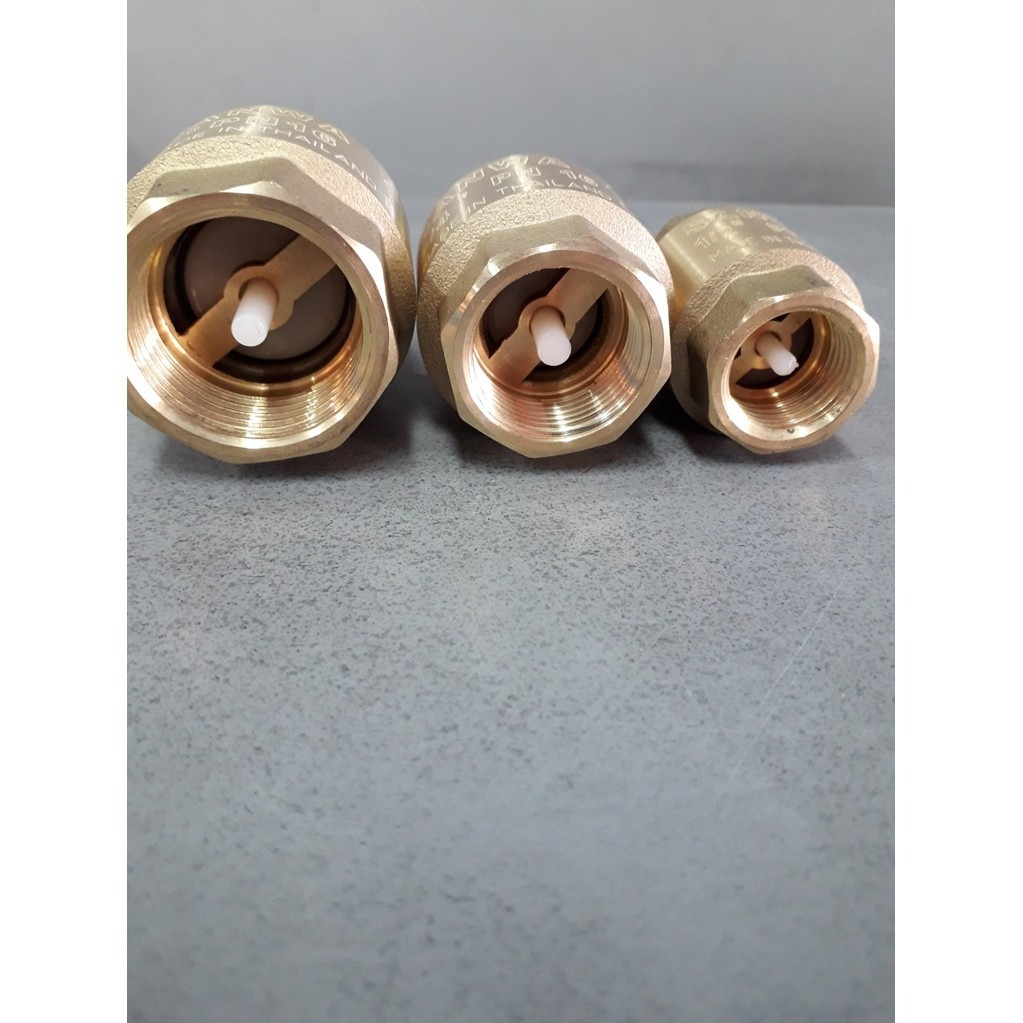 Sanwa Spring Check Valve (Sanwa) (4 Inch/6/1 Inch) | Shopee Philippines