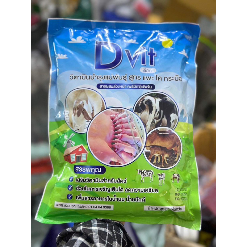 Dvit (Dvit) Breast Milk Enhancement Product Size 1 Kg Bile Strong ...