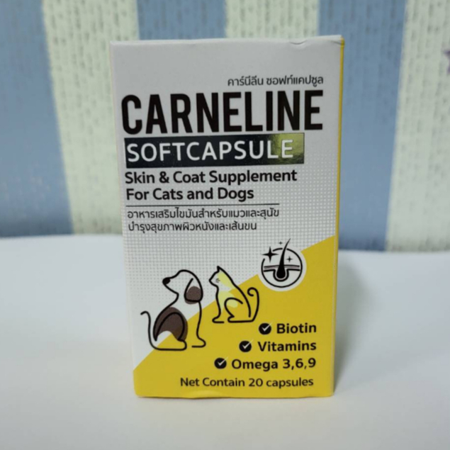 Carneline Soft Capsule Contains 20 Capsules. Supplements For Hair Care ...
