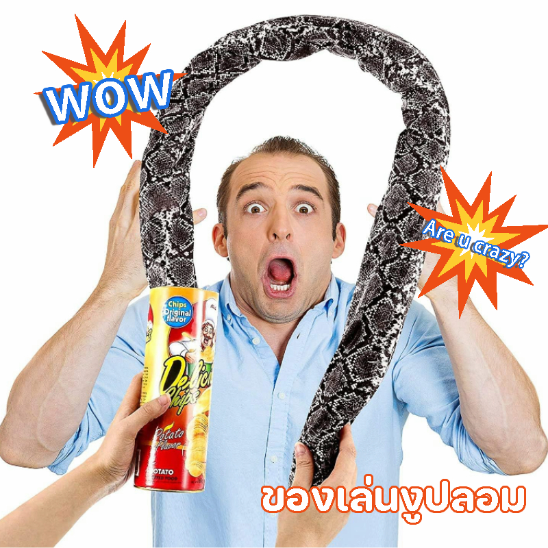 COD Fake Snake Toy Can Prank Potato Chips Stress Relief | Shopee ...
