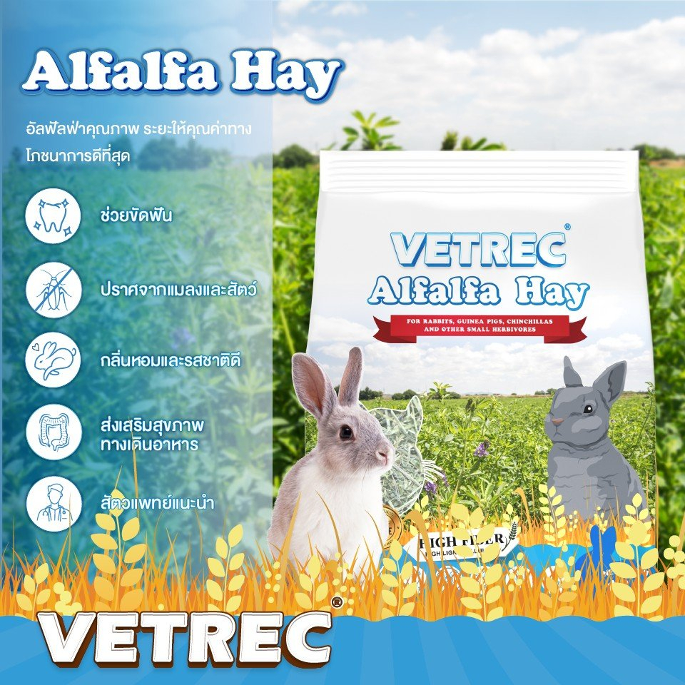 Alfalfa Hay 500 Grams Of VETREC Imported From Australia Grass. | Shopee ...