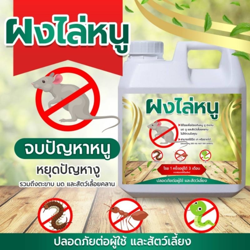Rat Repellent Herbal Rodent Snake Powder Centipede Frog Insect And ...
