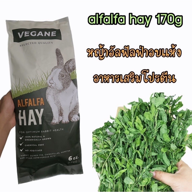 VEGANE Alfa hay 170g Grass Roasted Protein Supplement For Rabbits ...