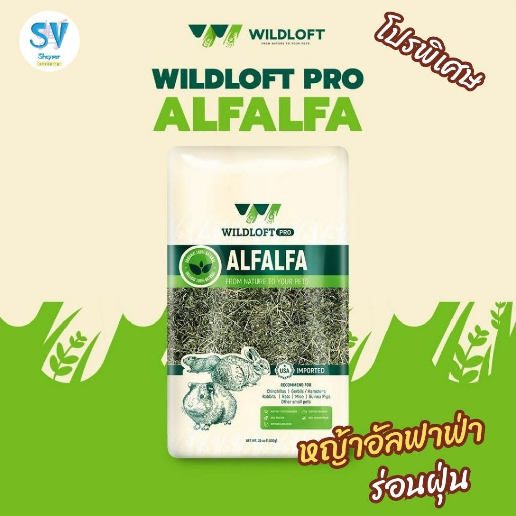 Wildloft PRO Premium Natural Alfalfa Sifted Dust 1 Kg.dust Alpha Grass ...